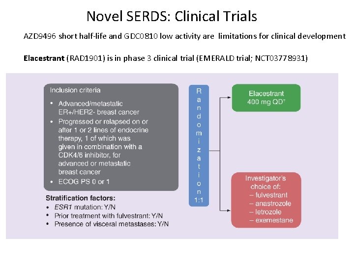 New drugs in clinical trials targeting breast cancer