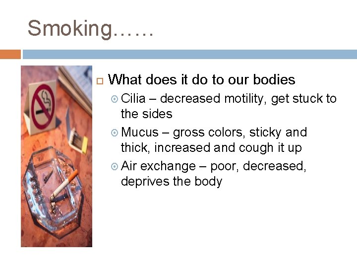 THE RESPIRATORY SYSTEM OXYGENATION Lisa B Flatt RN