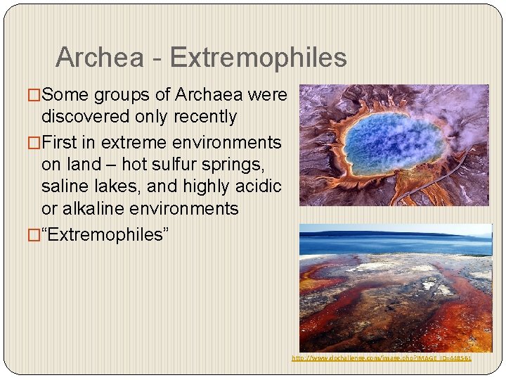 Microbial Diversity Module 2 Biology for Engineers Microbiology