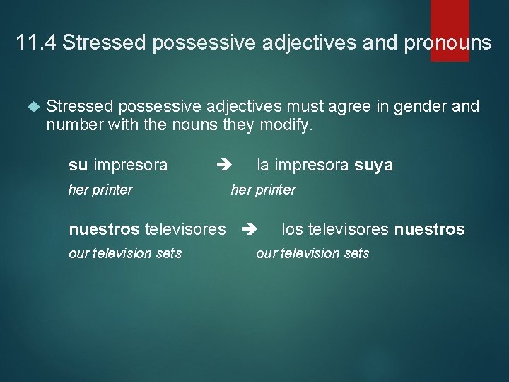 11 4 Stressed possessive adjectives and pronouns ANTE