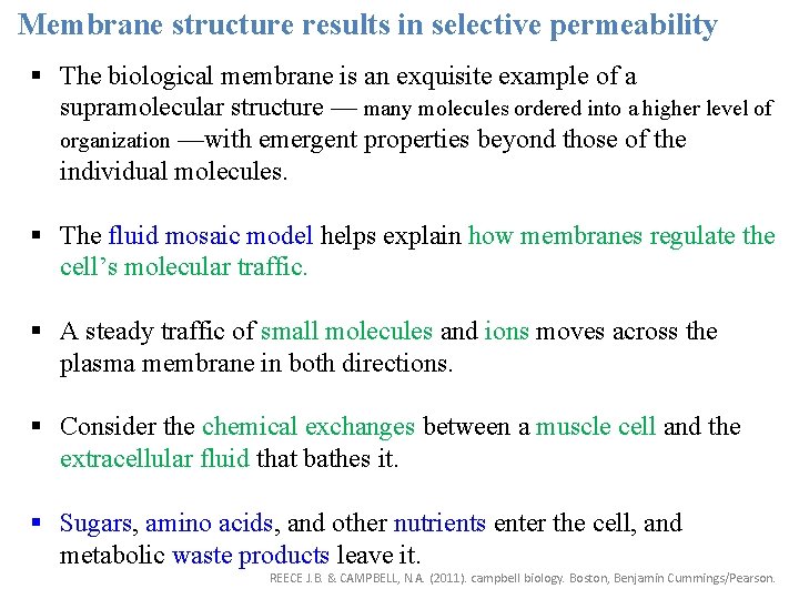 Membrane Structure and Function Part II General Biology