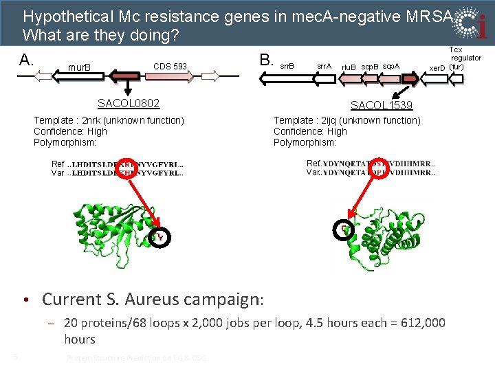 Strategic Collaborative Initiative Structure of S aureus and