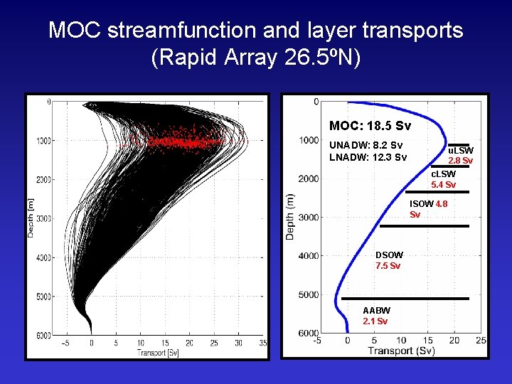 Progress in Characterizing AMOC Structure and Variability from