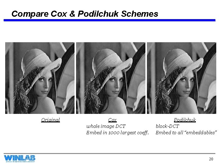Multimedia Data Hiding Wade Trappe Wireless Information Network