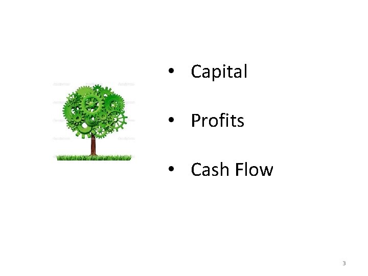 TTCSI VENTURE CAPITAL WORKSHOP THE ART OF BUSINESS