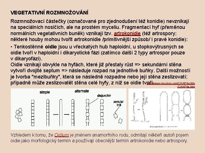 MODULARIZACE VUKY EVOLUN A EKOLOGICK BIOLOGIE CZ 1