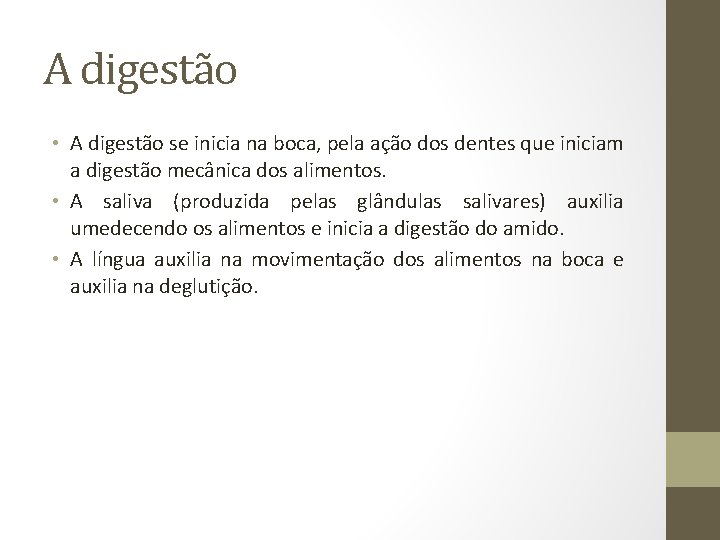 A digesto humana Sistema digestrio Pirmide Alimentar Os