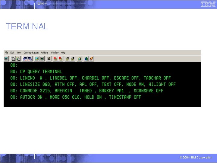IBM zVM Module 5 Advanced Structures and Commands