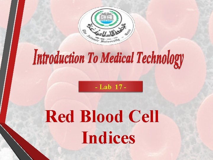 Lab 17 Red Blood Cell Indices Introduction Red