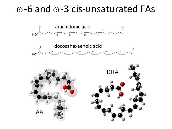 Membrane Structure lipid and protein components of biological