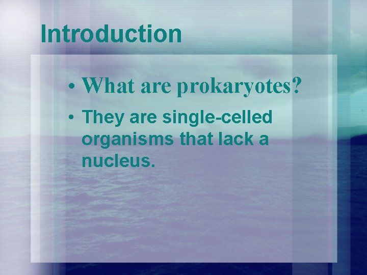 Bacteria Section 19 1 This section describes two