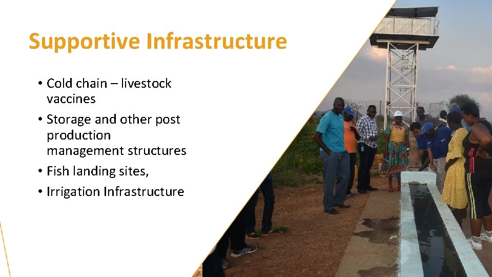 Restoring Productive Capacity Contributes to Food security Employment