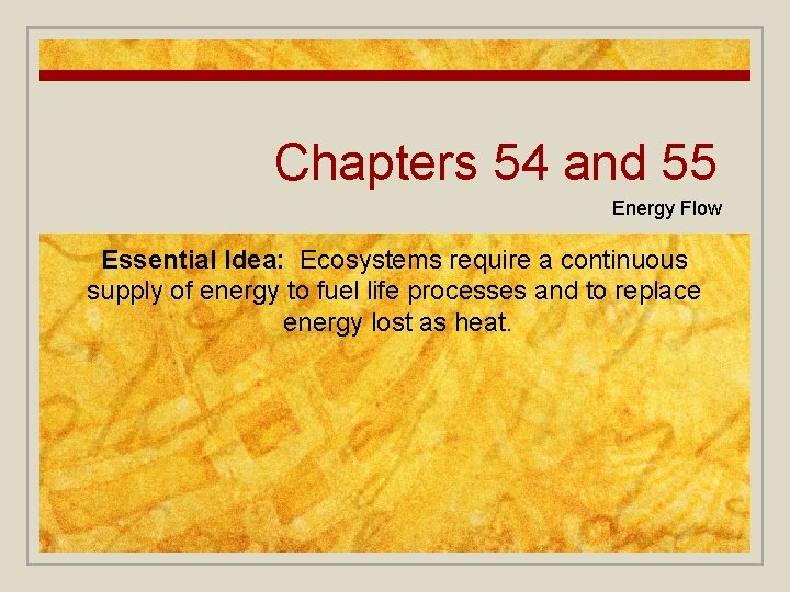 Chapters 54 and 55 Energy Flow Essential Idea