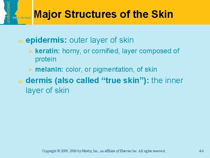 Chapter 4 Integumentary System Copyright 2009 2006 by