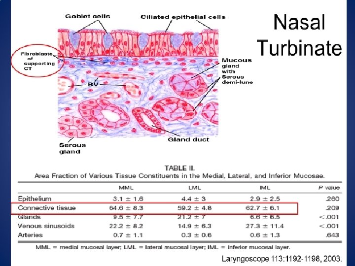Nasal turbinates Acta Otolaryngol 120 580 595 2000