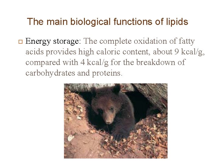 CHAPTER 7 LIPID METABOLISM Lecture 1 Lipids and