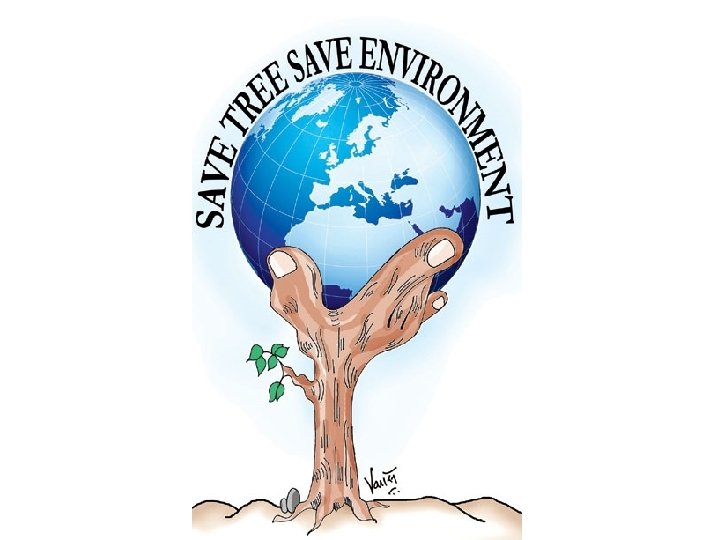 TREE SAFE Introduction According to the United Nations
