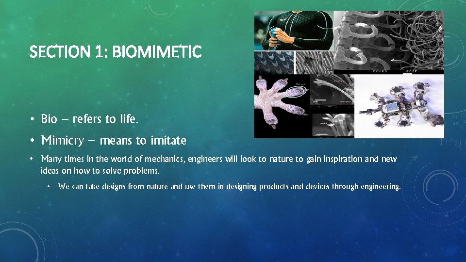 Biology in a Box A science education outreach