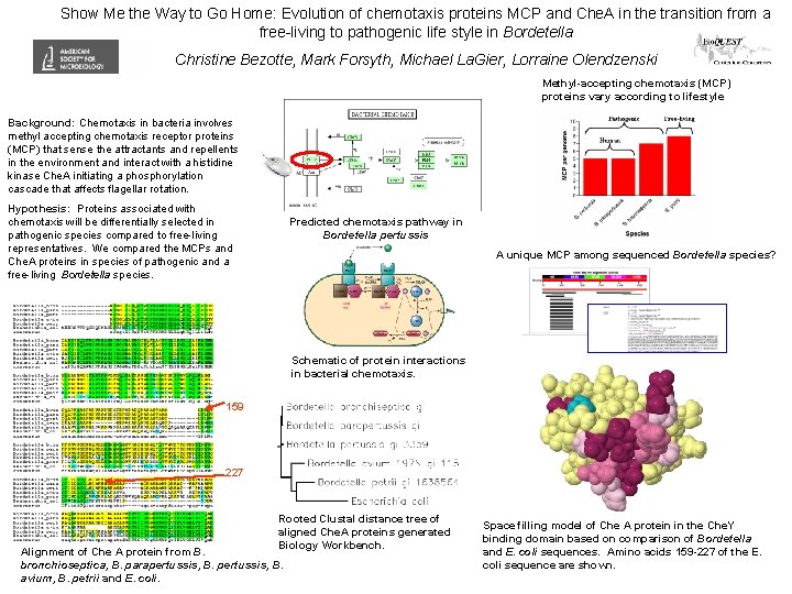 Show Me the Way to Go Home Evolution