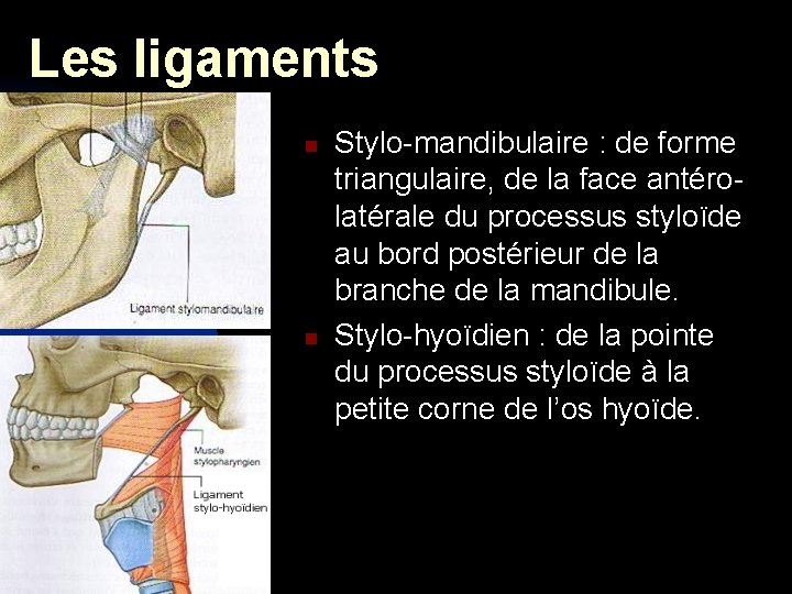 Le rideau stylien Pierre BRODIEZ Matthias BRILLANT Introduction