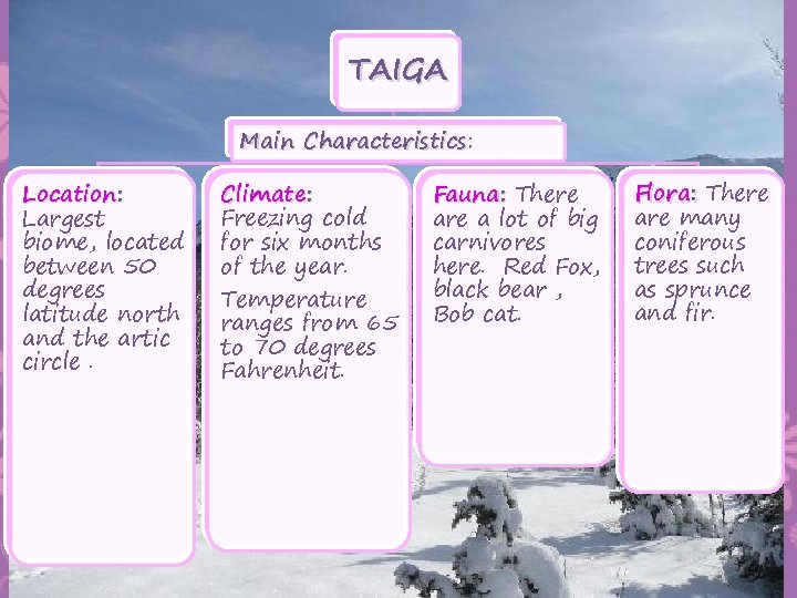 BIOMES OF THE WORLD What is a Biome