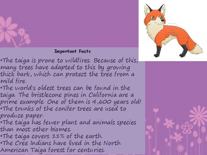 BIOMES OF THE WORLD What is a Biome