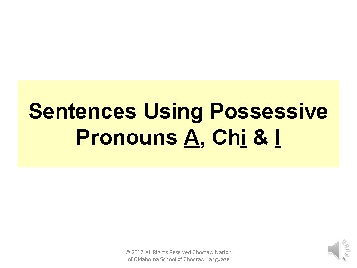 CHAPTER 11 LESSON 2 Possessive Pronouns Nasal Form