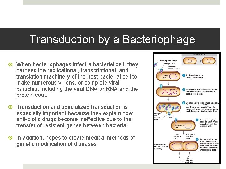 Microbial genetics lecture 10 Transformation Transformation is the