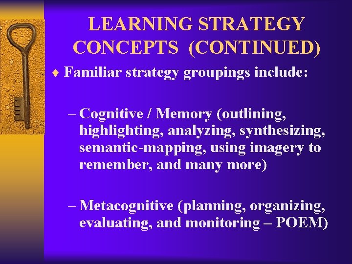 LEARNING STYLES AND STRATEGIES IN THE MULTIMEDIA AGE