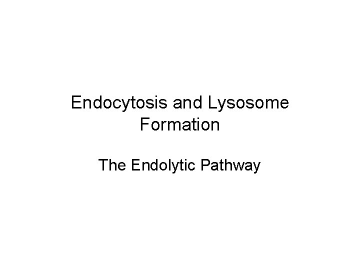 Endocytosis and Lysosome Formation The Endolytic Pathway Lysosomes