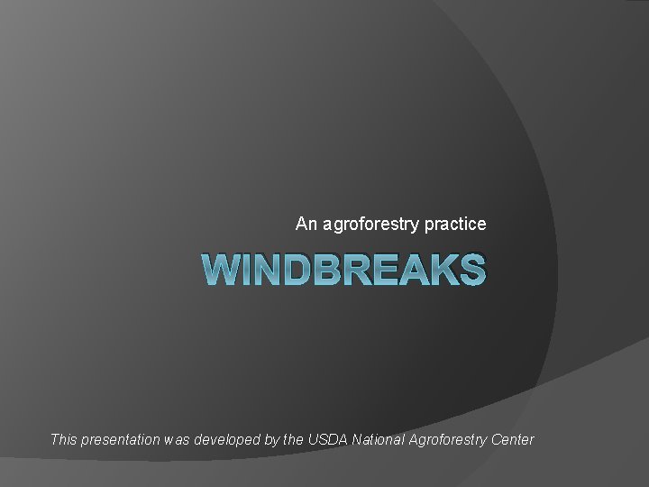 An agroforestry practice WINDBREAKS This presentation was developed