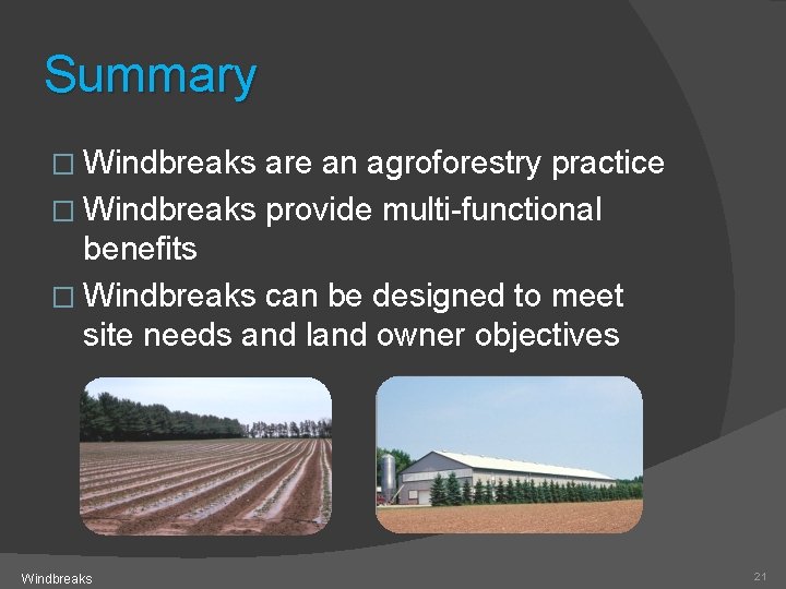 An agroforestry practice WINDBREAKS This presentation was developed