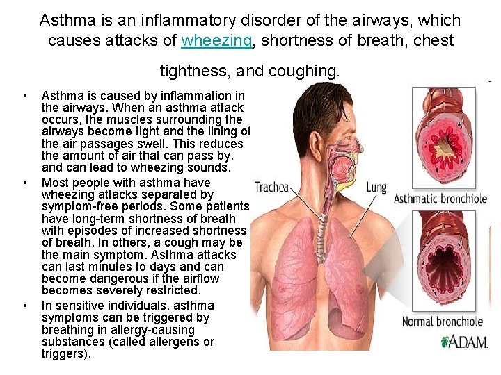 Three main types of lung disease Airway diseases