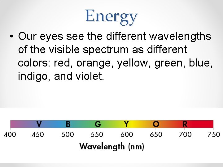 Photosynthesis Introduction to Biology How does a tree