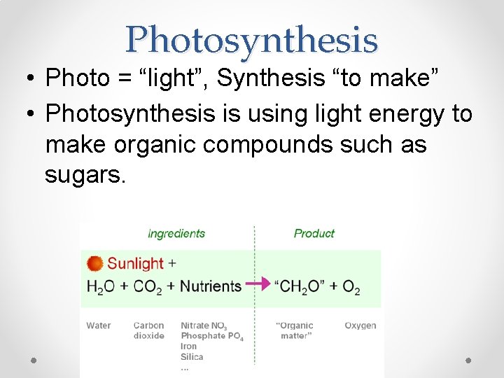 Photosynthesis Introduction to Biology How does a tree