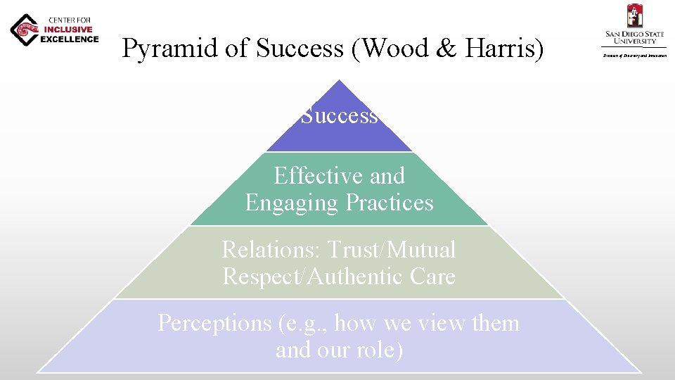 Division of Diversity and Innovation What Does It