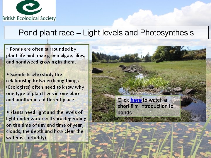 Pond plant race Light levels and Photosynthesis Ponds