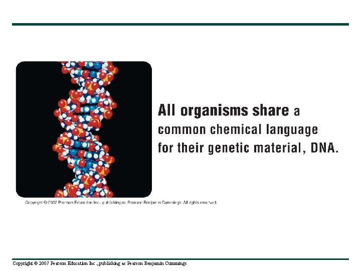 CHAPTER 1 Introduction Biology Today Power Point Lectures