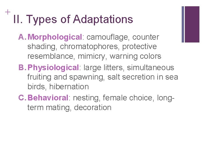 Evolution Adaptations By Heather Rowan edited by Diane