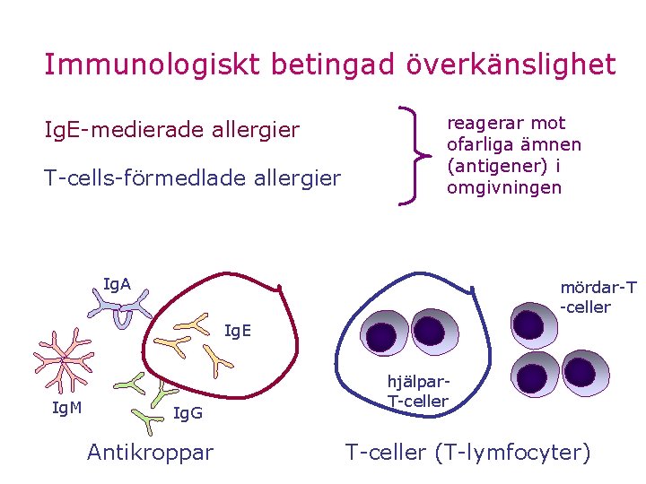 Snusk skyddar mot allergi och kanske lite annat