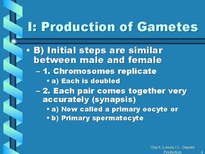 Unit 4 Reproduction and Genetics Lesson 13 Gamete