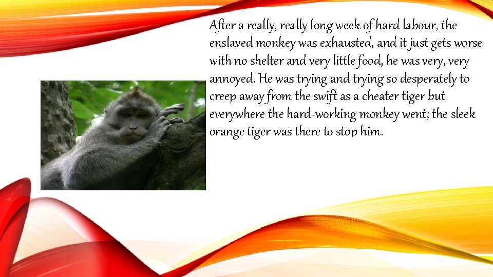 THE MONKEY AND THE TIGER By Joseph Roarrrrr
