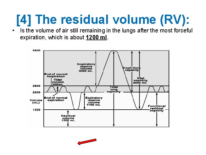 Lung Function Test Physiology Lab5 Nov 2019 Lung