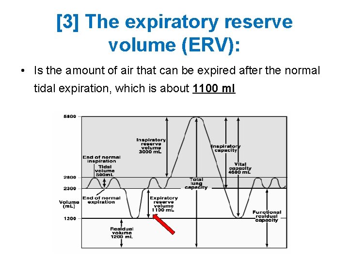 Lung Function Test Physiology Lab5 Nov 2019 Lung