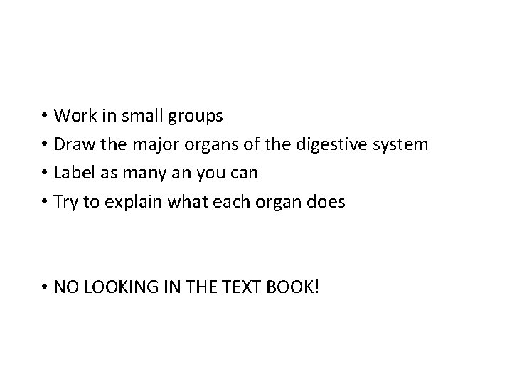 Work in small groups Draw the major organs