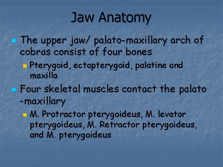 The Buccal Buckle The Functional Morphology of Venom