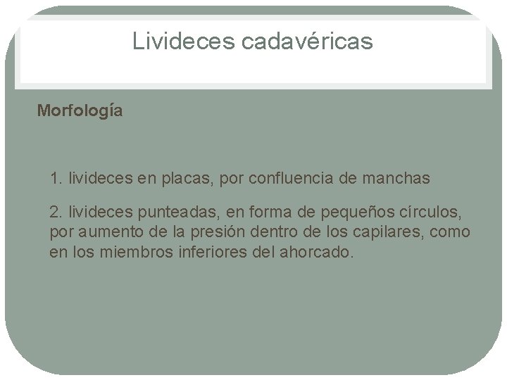 Tanatologa Medicina legal Clasificacin de los fenmenos cadavricos