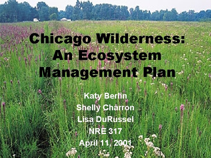 Chicago Wilderness An Ecosystem Management Plan Katy Berlin