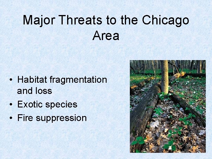 Chicago Wilderness An Ecosystem Management Plan Katy Berlin