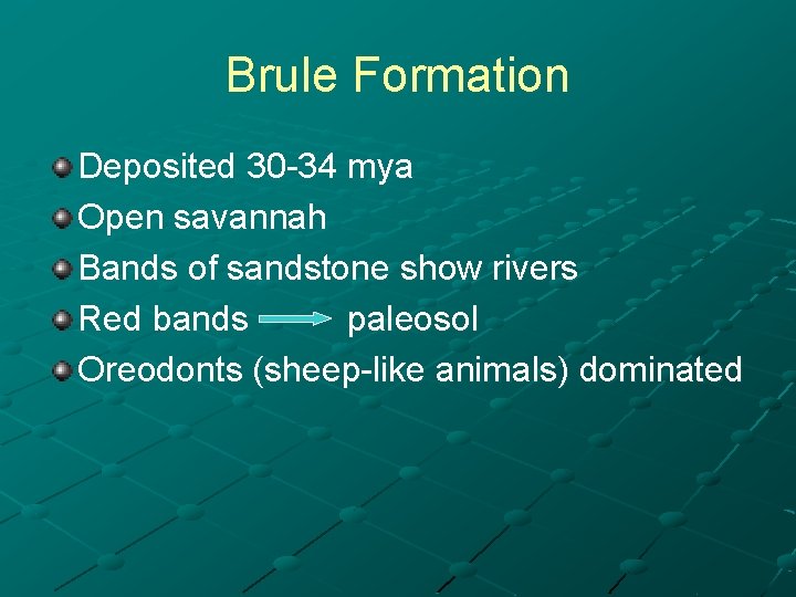 Mammals of the Badlands By Christina Hurley Badlands